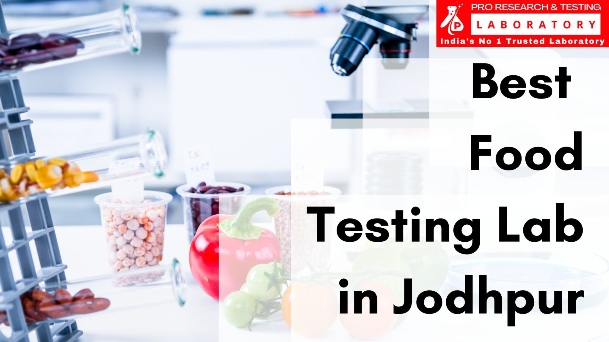 Best Food Testing Lab in Jodhpur that will Help You Fully!