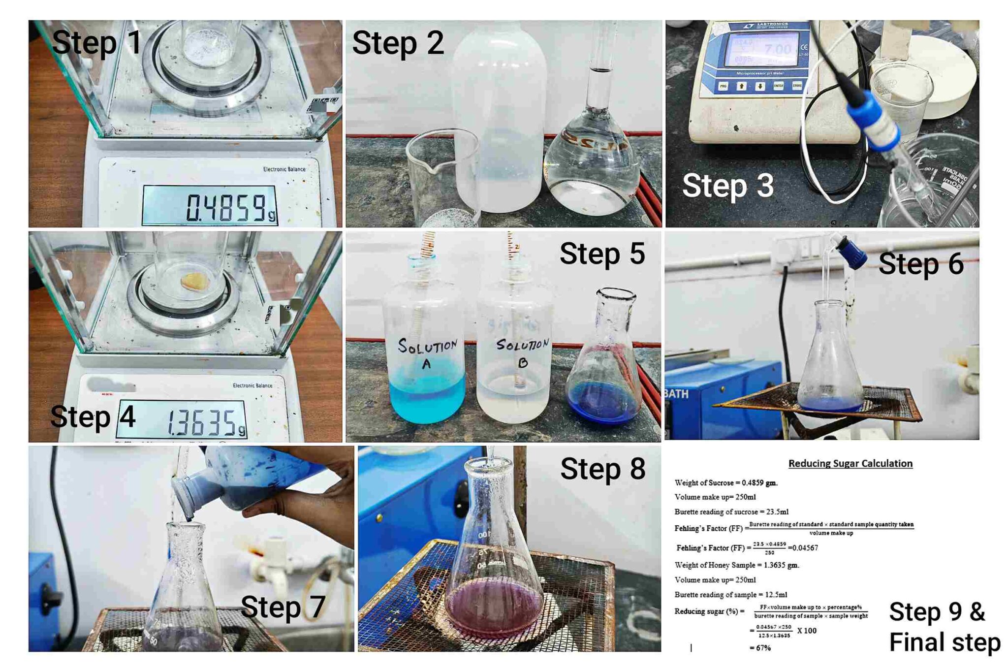 Testing Process of Total Reducing Sugar in Honey in our Lab