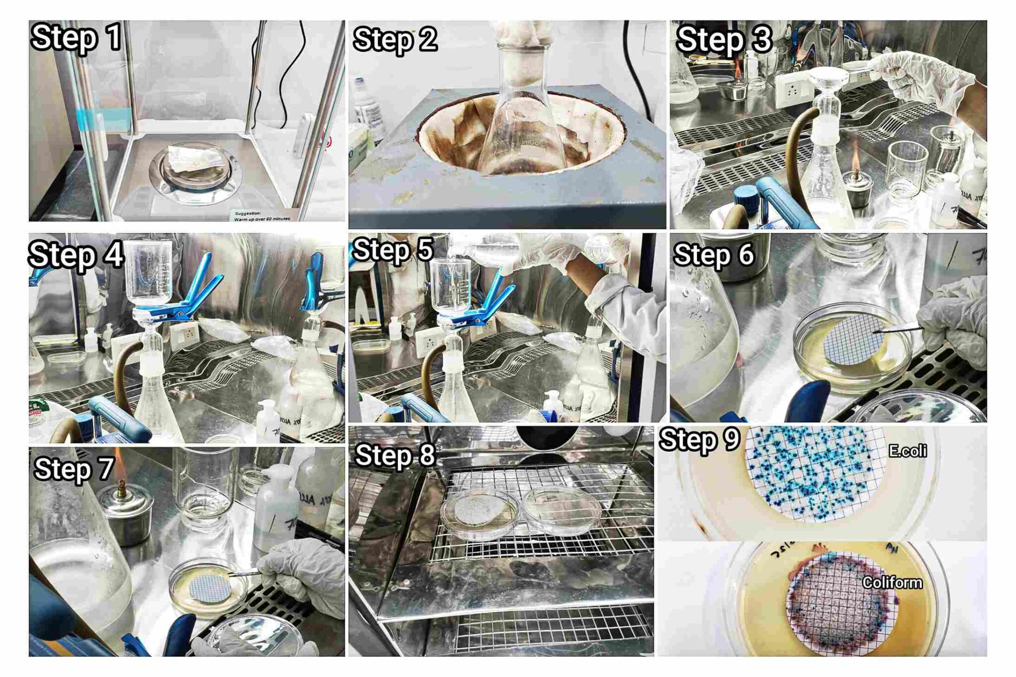 Detection of Coliform and E.coli from Water Sample