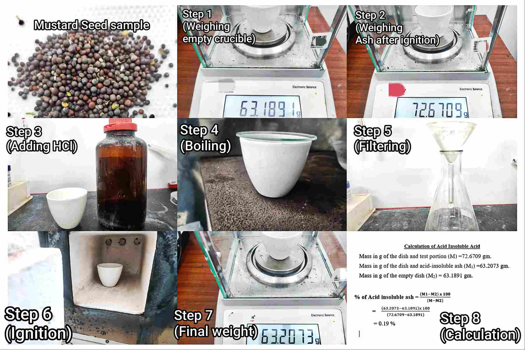 Testing Procedure of Acid Insoluble Ash in Mustard Seed