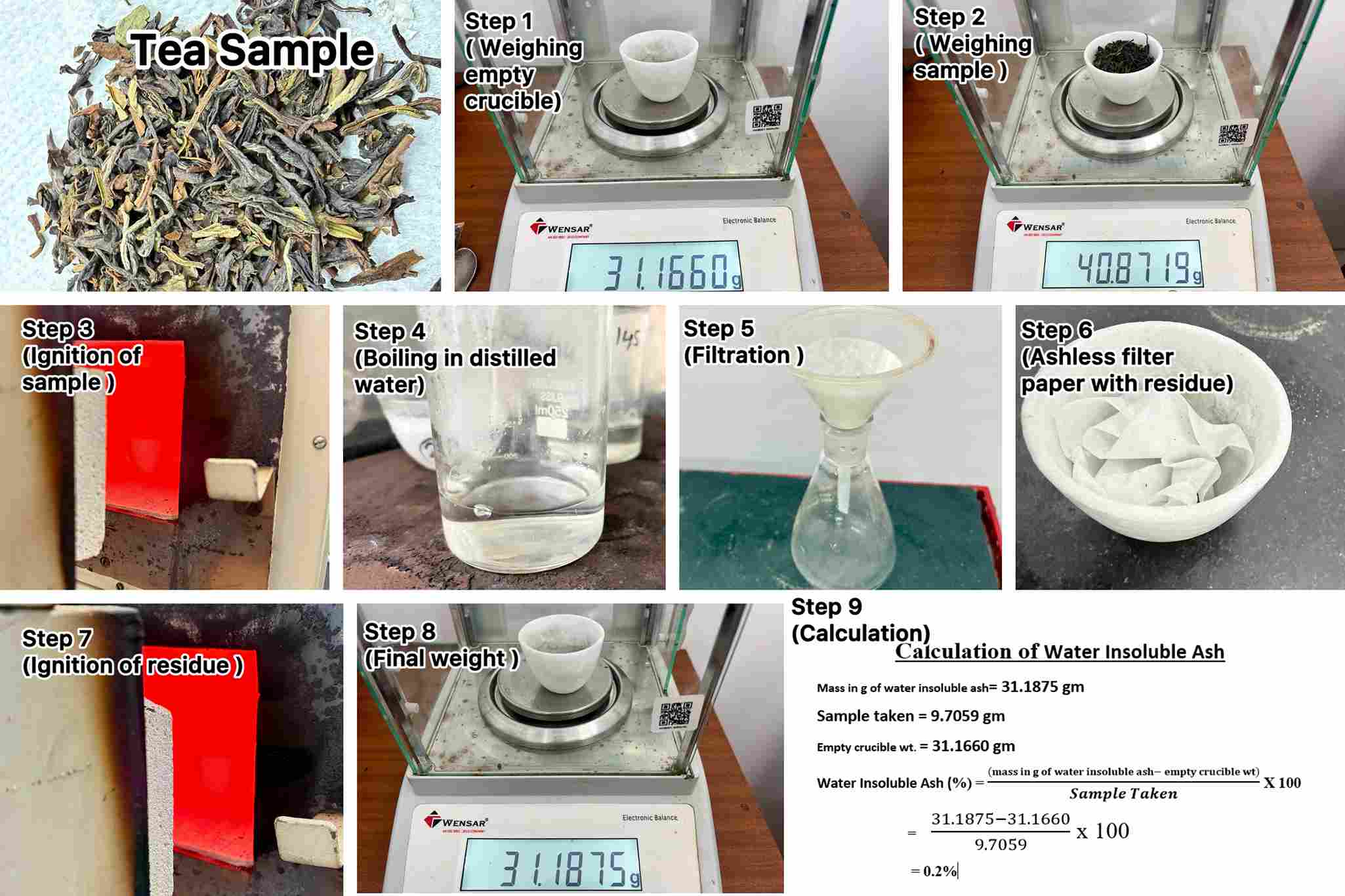 Water Insoluble Ash Testing: Procedure, Principle & Purpose